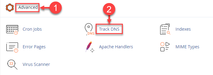 Use Domain Lookup & Trace DNS in cPanel