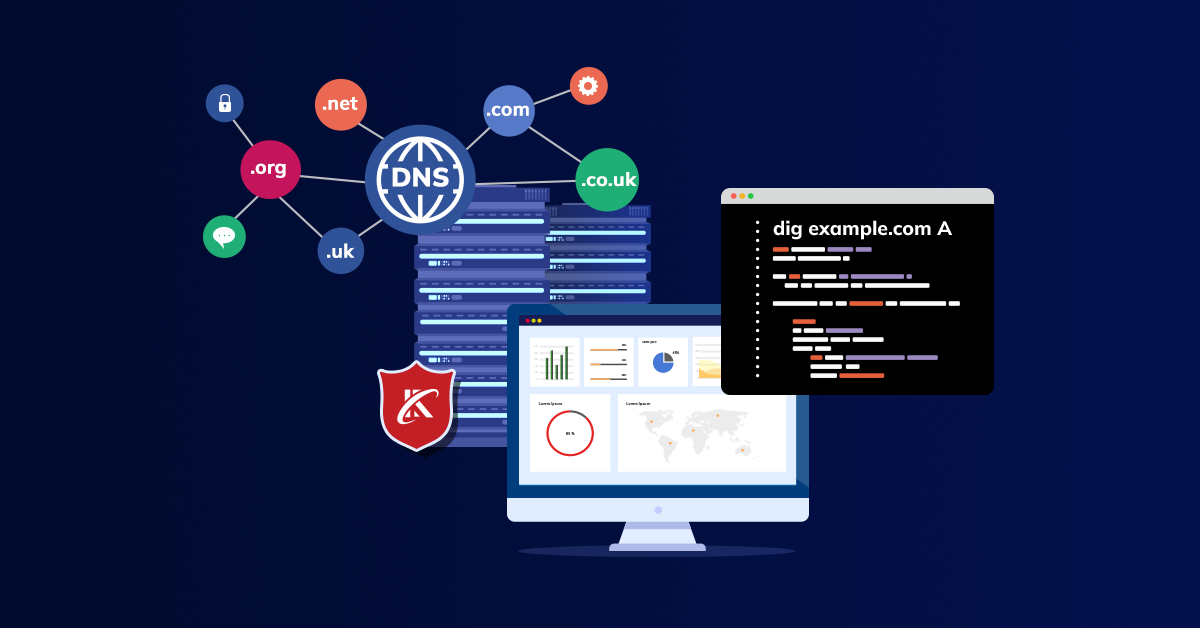 Test DNS Propagation Like a Pro Using dig and host